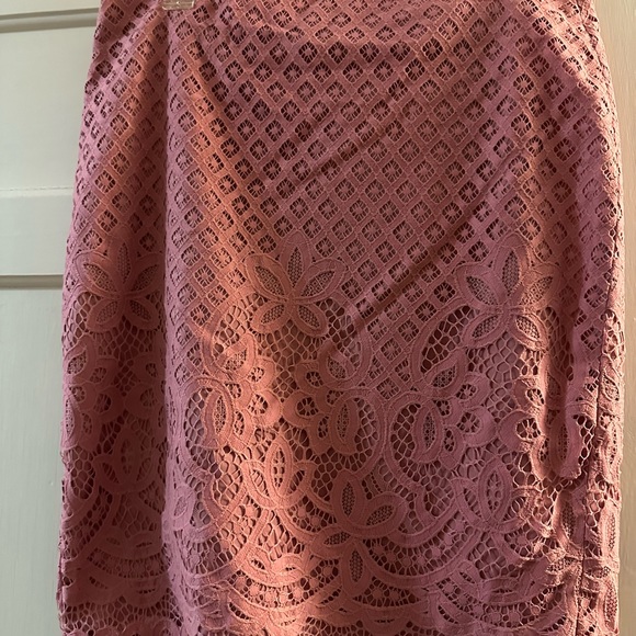LOFT | Skirts | Nwt Loft Soft Pink Lace Skirt With Lining | Poshmark